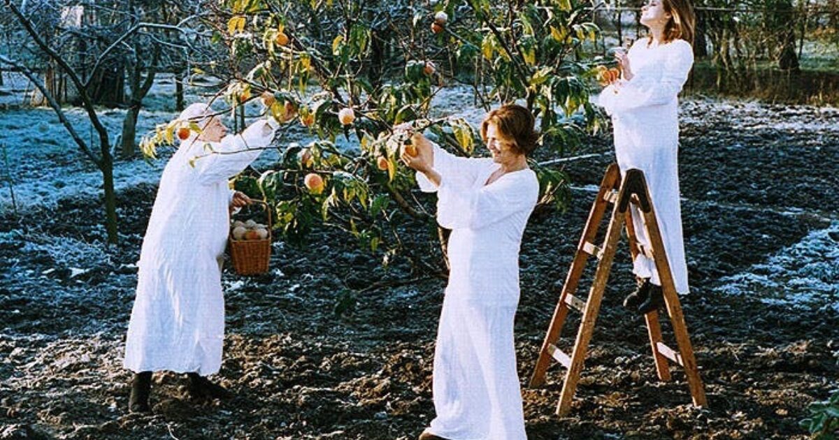 Blue Heaven (Modré z nebe) | Film Fest Gent