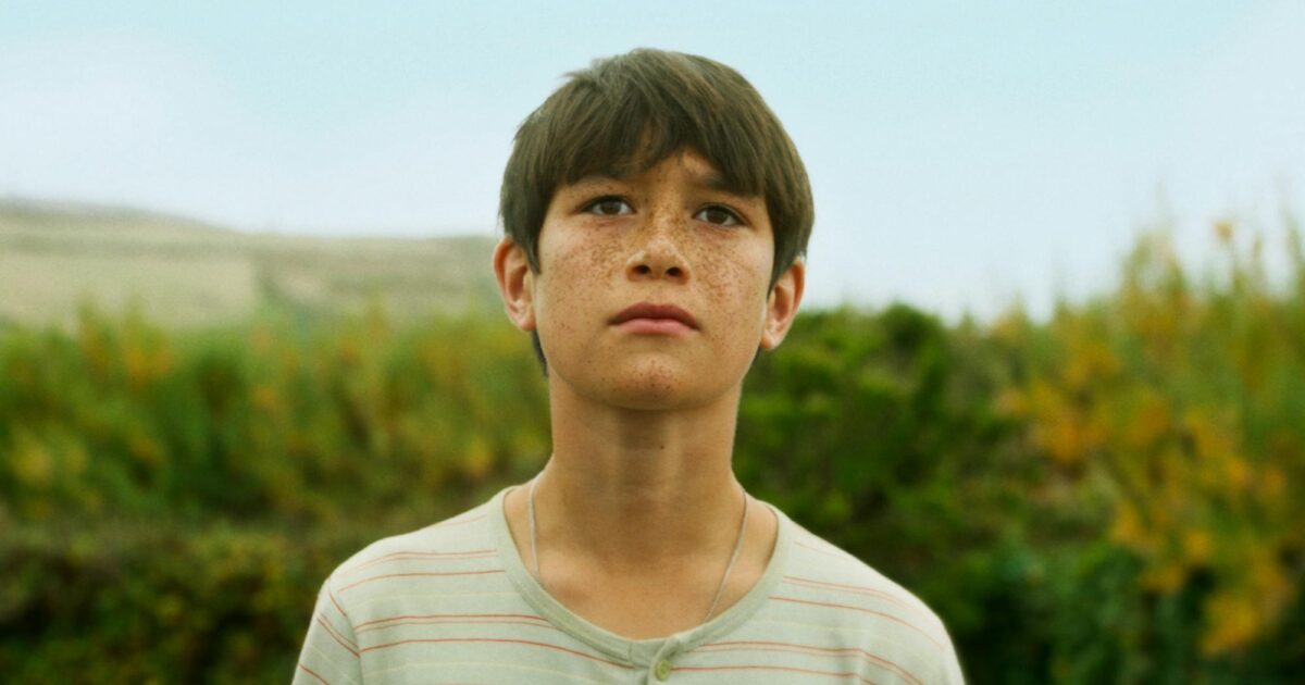Film Fest Gent | Edge of Summer