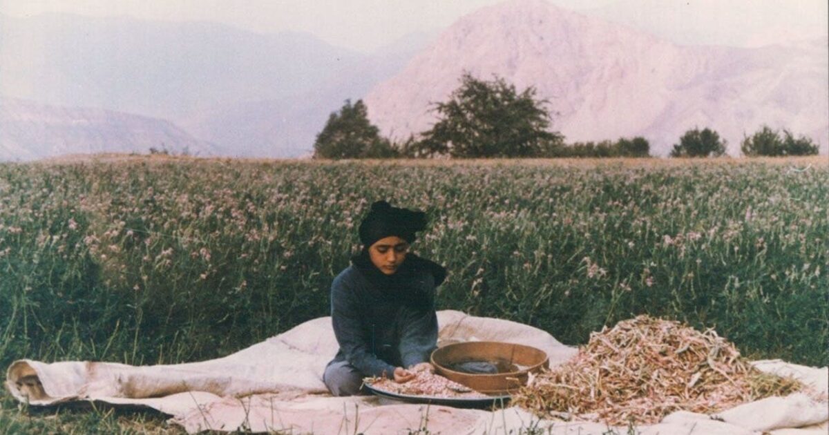 Film Fest Gent | Derakhte Golabi (The Pear Tree)